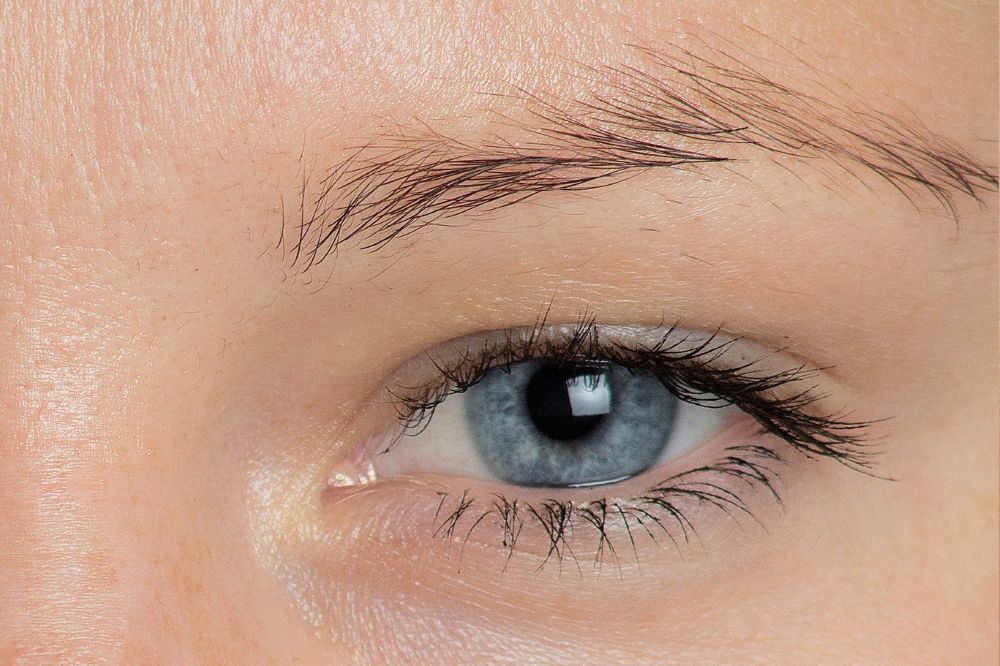 How To Grow Back Overplucked Eyebrows | Wimpole Clinic