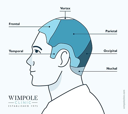 Scalp Massage for Hair Growth: How Effective Is It? - Wimpole Clinic