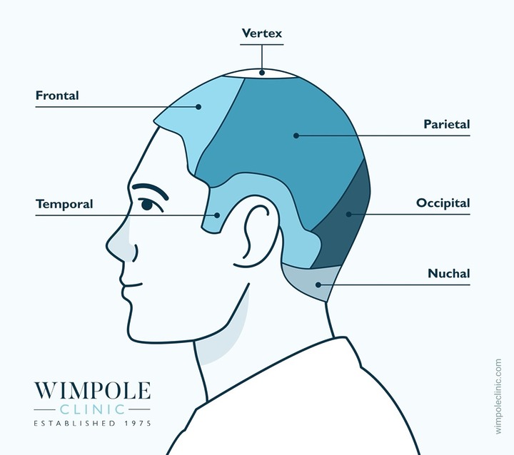 Scalp Massage for Hair Growth: How Effective Is It? - Wimpole Clinic