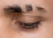 Do Eyebrows Grow Back? Here’s How You Can Help Them Along