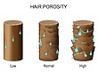 High Porosity Hair: The Definitive Guide For Porous Hair
