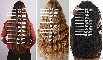 Illustrated Hair Length Chart: Which One Suits You Best?