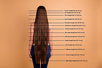 Illustrated Hair Length Chart: Which One Suits You Best?