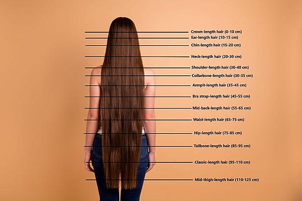 Illustrated Hair Length Chart: Which One Suits You Best?