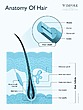 What Is Hair Miniaturisation And How Can You Reverse It?