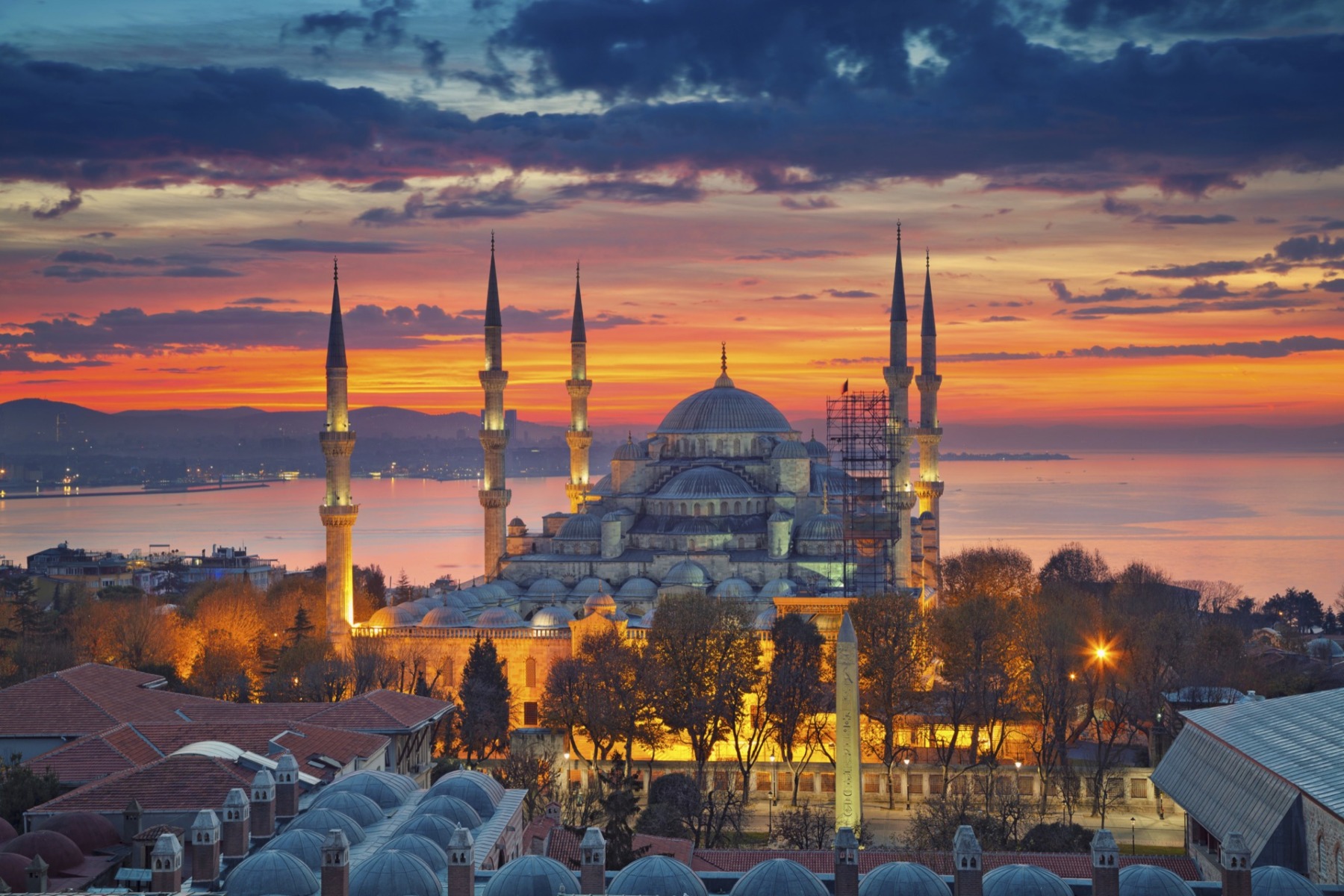 16 Turkish Hair Transplant Clinic Red Flags - Wimpole Clinic