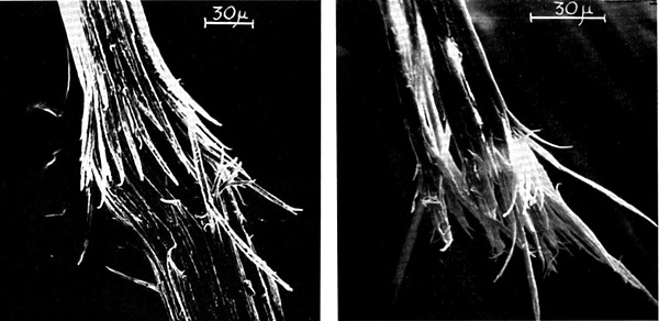 What To Do About Frizzy Broken Hair On Top Of Your Head