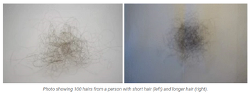 Normal Hair Parting Width vs Thinning: Causes and Treatments