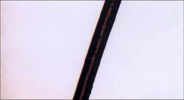 Split Ends vs Healthy Hair: Expert Advice to Tell Them Apart